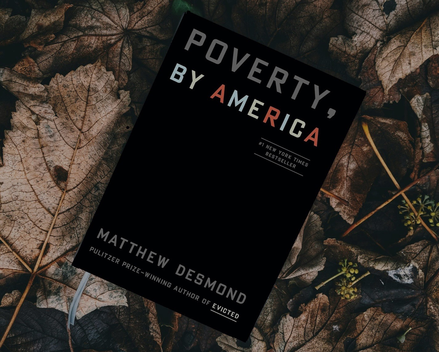 Book Review: Poverty by America - Talking Bookish