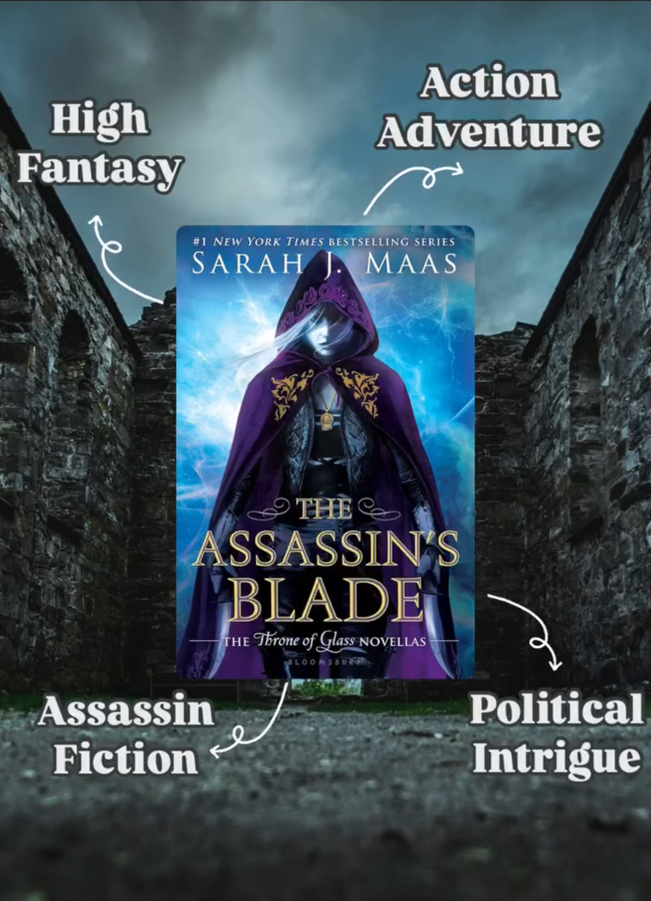 The Assassin’s Blade A Fierce and Emotional Series Starter